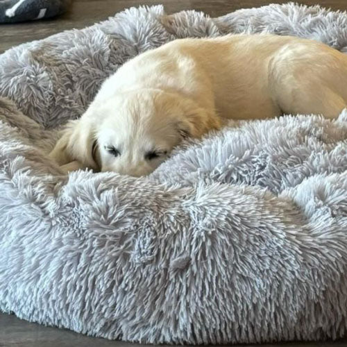 Natural Calm Pet Care Products | Only The Best For Your Furry Friend