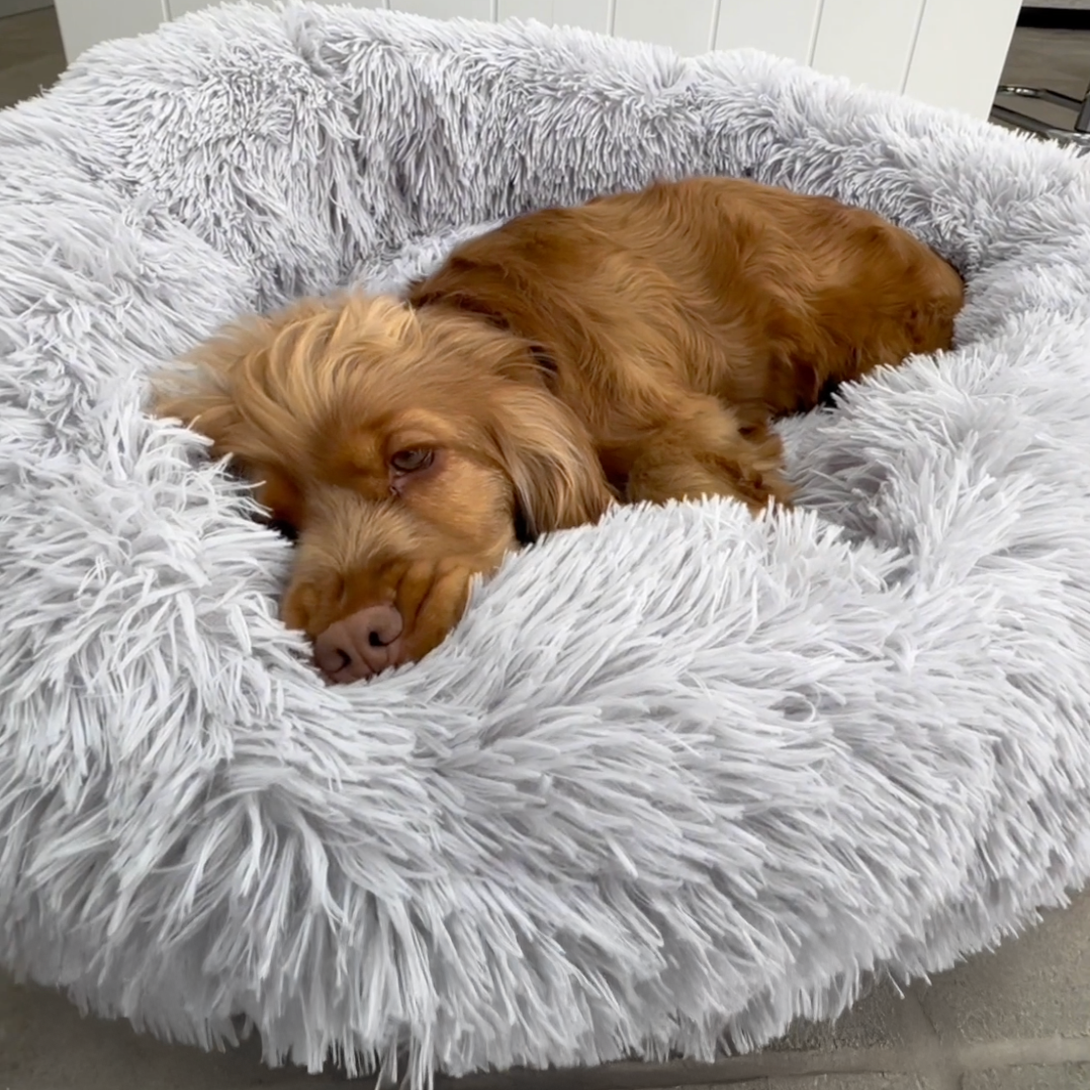 Natural Calm Pet Care Products | Only The Best For Your Furry Friend